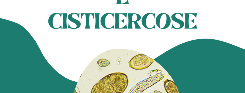 Qual a diferença entre teníase e cisticercose?