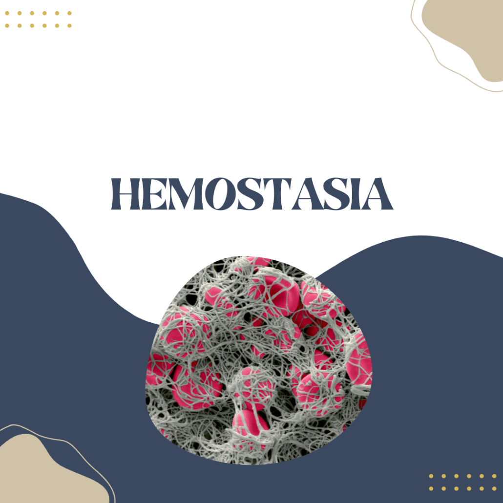 O que é hemostasia? - Cursau Educação - Blog
