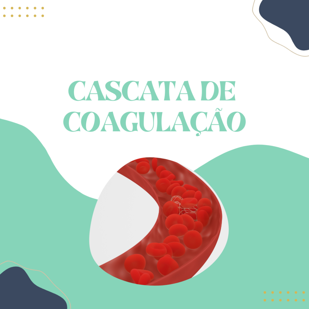 Como funciona a cascata de coagulação? Cursau Educação - Blog
