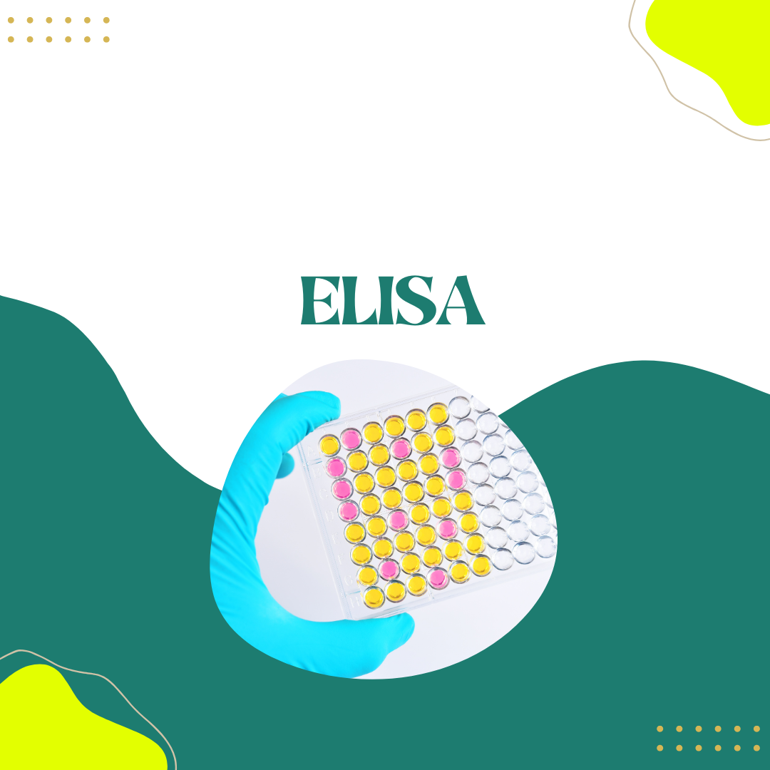Quais são os tipos de ELISA? - Cursau Educação - Blog