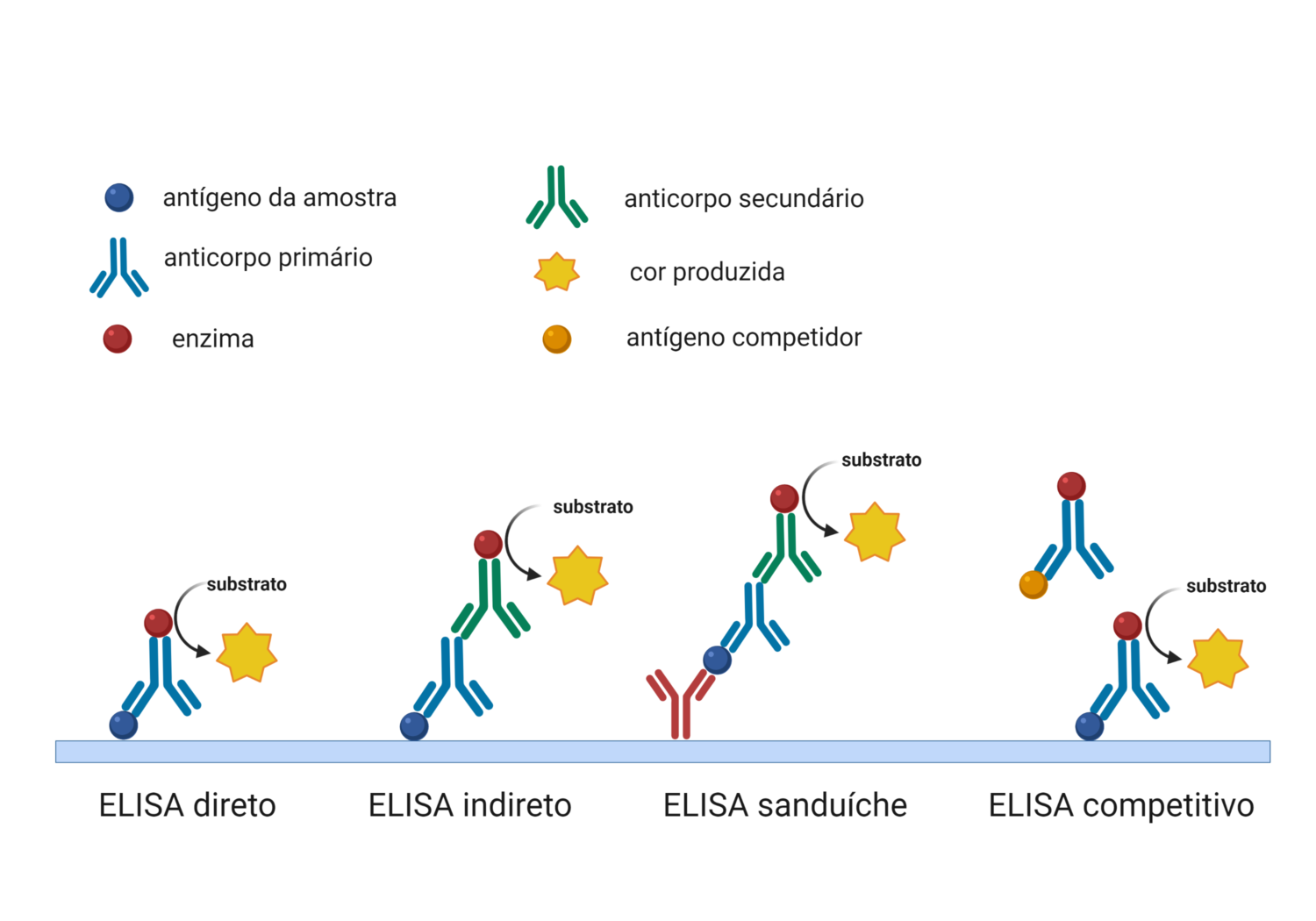 Quais são os tipos de ELISA? - Cursau Educação - Blog