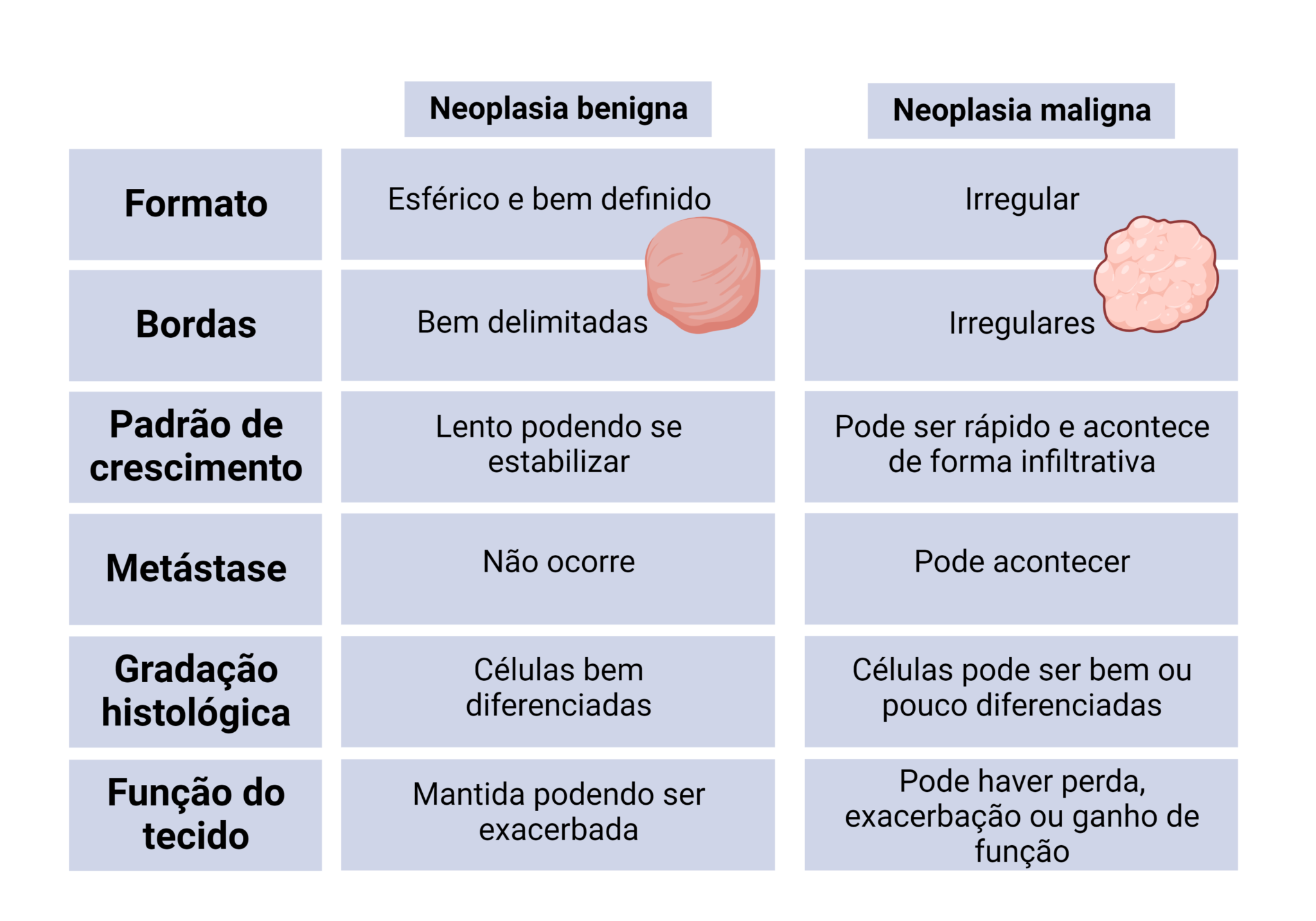 Tumor benigno e maligno: qual a diferença?