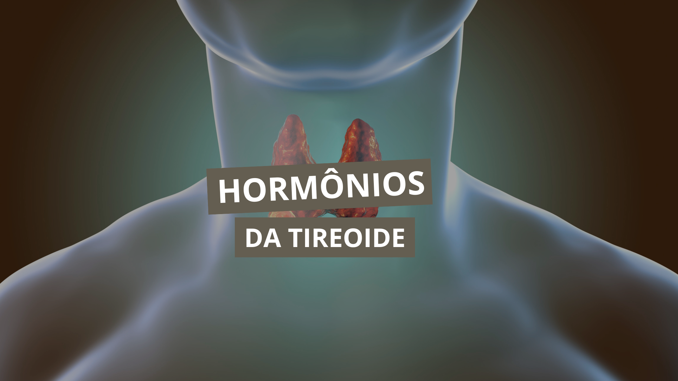 Qual a função dos hormônios da tireoide?