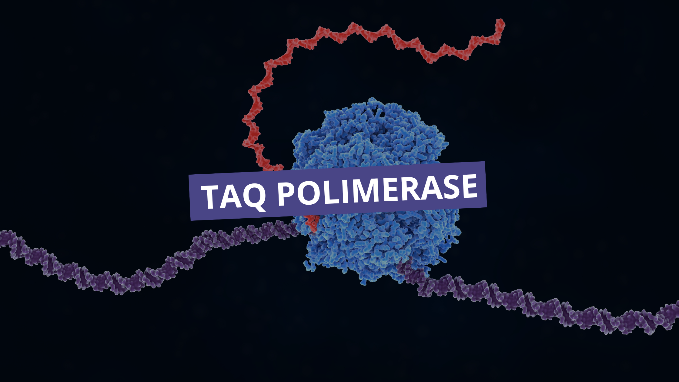 Taq DNA polimerase: a enzima que revolucionou a biologia molecular