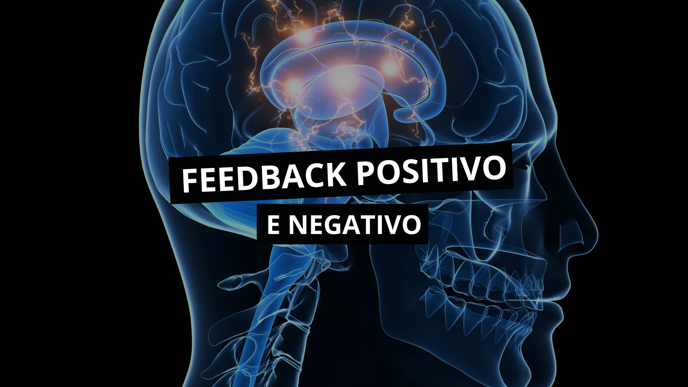 O que é feedback positivo e negativo? - Cursau Educação - Blog